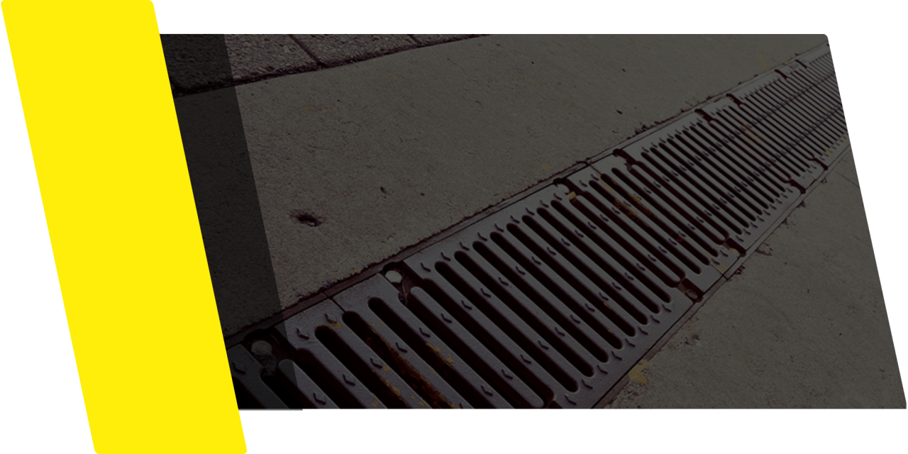 Drain Rat Problems | Expert Drain Inspections | Rodent Detection